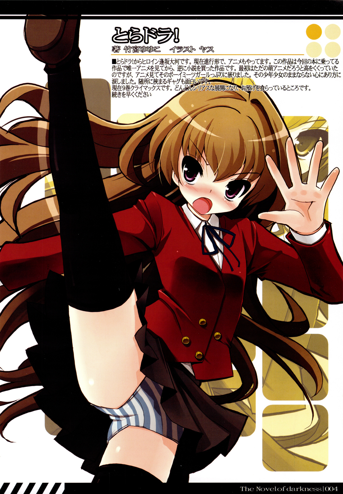 tataraba tsurugi hagane toradora! aisaka taiga pantsu seifuku shimapan thighhighs | #56120 ...